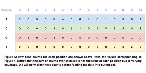 using nucleus and tensorflow for dna sequencing error correction — the