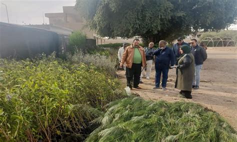 زراعة 5475 شجرة مثمرة ضمن مبادرة 100 مليون شجرة بسفاجا الأسبوع