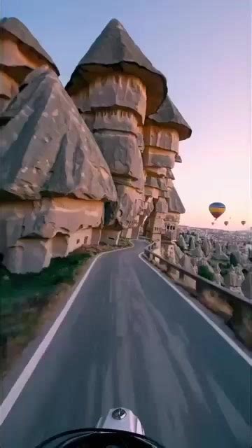 صباح الخيرات والبركات 🧚 يومكم جميل كجمال قلوبكم 🤍