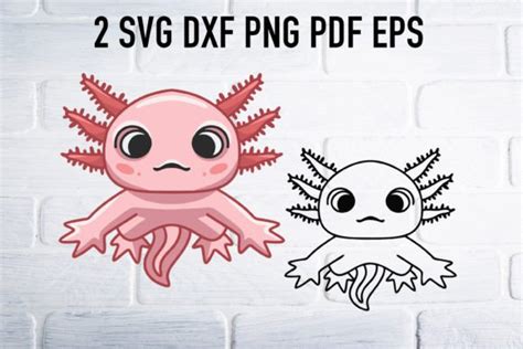Axolotl Svg Dxf Eps Axolotl Png Clipart Graphic By Anny White