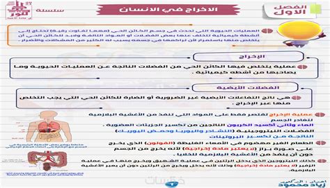 كتابة وتنسيق صفحات Word سواء كان محتوي تعليمي او غيره خمسات