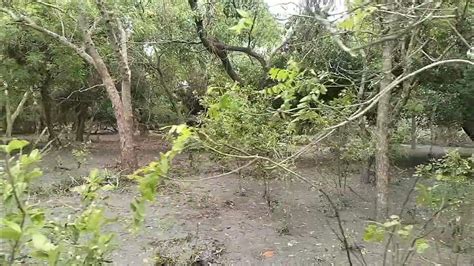 বাংলাদেশের কুয়াকাটা সমুদ্র সৈকতের তীরে গড়ে ওঠা অনিন্দ্য সুন্দর একটি