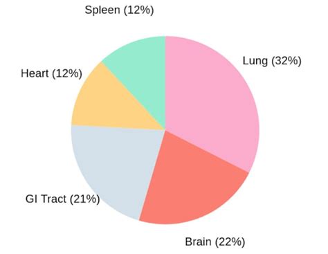 Create A Piechart Or Donut Chart Using D By Dynamicd Fiverr