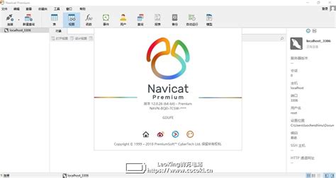 Navicat Premium V1622 数据库开发工具中文绿色版 老康的学习空间