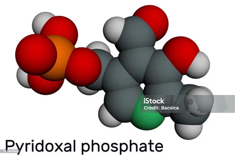피리독살 인산염 Plp 분자 비타민 B6와 코엔자임의 활성 형태입니다 분자 모델 3d 렌더링 0명에 대한 스톡 사진 및 기타 이미지 Istock