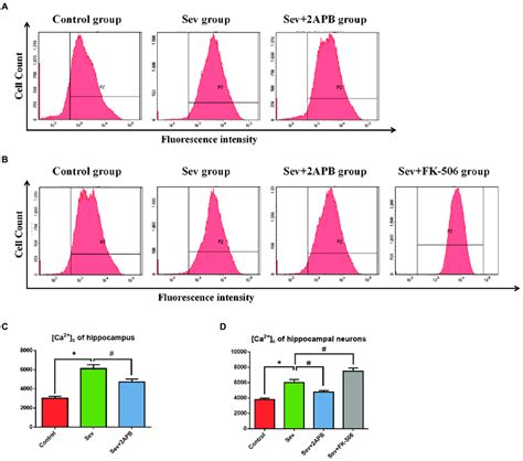 Sevoflurane Elevates Ca 2 C In Aged Rats And Isolated Hippocampal