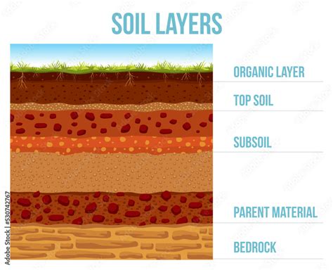 Vetor De Soil Layer Infographic Earth Geology Formation Bedrock
