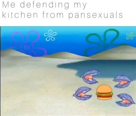 Me Defending My Kitchen From Pansexuals Ifunny