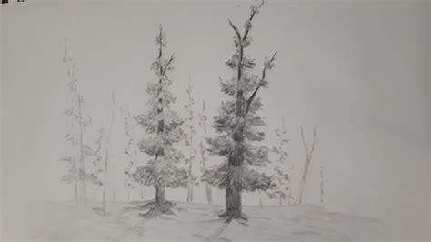 Drawn Trees Pine Tree Tree Drawing Tree Draw
