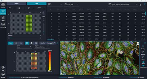 In Carta Bildanalyse Software Molecular Devices