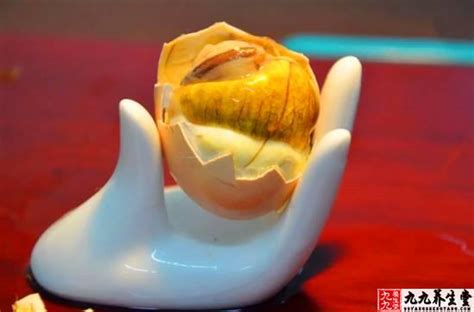看到都想吐更别说吃了 全球最难以下咽的食物3社会万象99养生堂