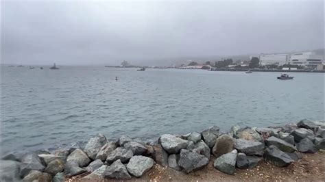 Navy Fighter Jet Crashes Into San Diego Bay Fox News Video