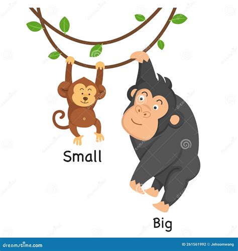 Opposite Big And Small Cartoon Vector 115565057