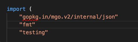 Completion Show Internal Package Issue Microsoft Vscode Go
