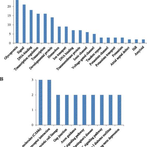Functional Analysis And Pathway Analysis A Functional Annotation Of Download Scientific