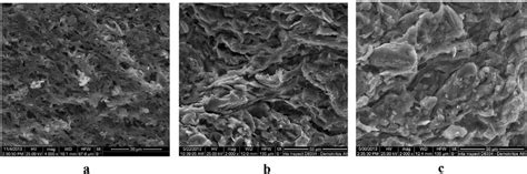 Sem Microphotographs A Yellow Fabric Showing A Calcareous And V