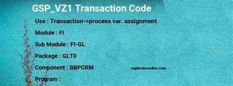 GSP VZ1 SAP Tcode For Transaction Process Var Assignment