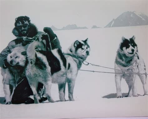 Tim Cassidy Anare Club Australian National Antarctic Research