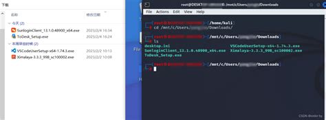 在window10和kali子系统 Wsl如何互传文件kali Wsl 传文件 Csdn博客
