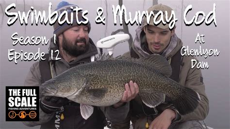 Swimbaits And Murray Cod Glenlyon Dam The Full Scale Youtube