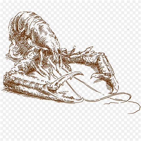 Png Png