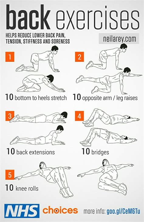 Lower Back Strengthening Exercises For Men