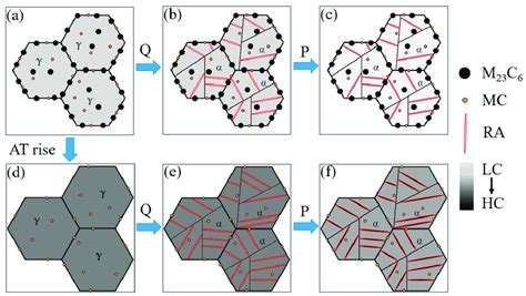 The Schematic Of The Microstructure Evolution During The Quenching And Download Scientific