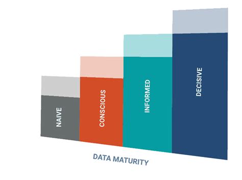 Reasons You Need To Assess The Data Maturity In Your Organization Pragmatic Institute