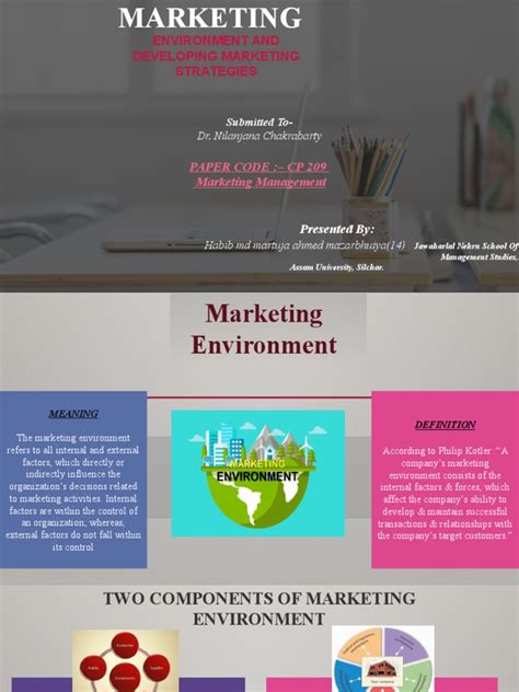 Marketing Environment And Developing Marketing Strategies Ppt Roll No 14 Nc Maam Pdf