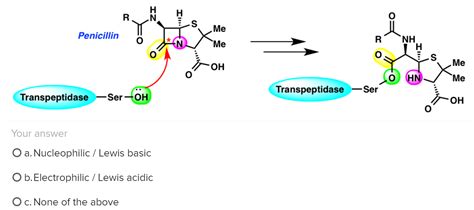 Penicillin Classification Mode Of Action And Penicillin