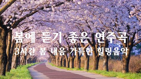 화창한 봄날🌼산뜻한 봄맞이 힐링음악 모음 🌼 스트레스해소음악 아침음악 명상음악 요가 Youtube