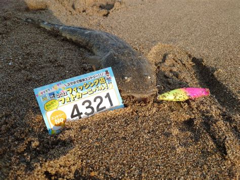 必見魚が釣りたい方今釣れているのはココです釣れている魚も大紹介 フィッシング遊