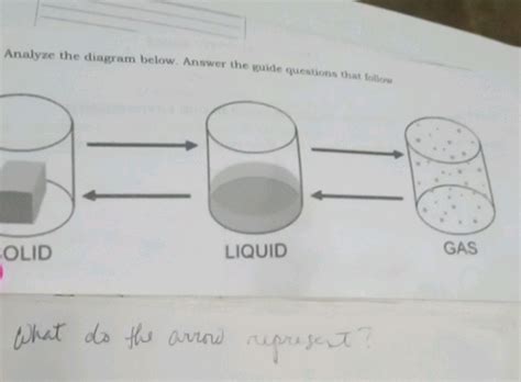 Analyze The Diagram Below Answer The Guide StudyX