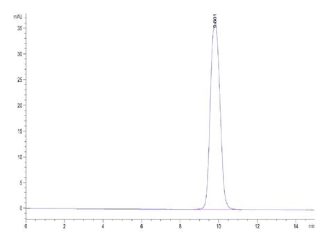 Human Activin Riib Acvr2b Protein Arb Hm12b Kactus