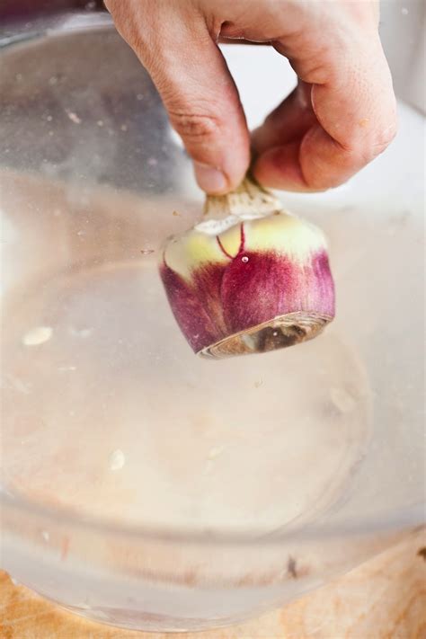 Ingredientistaenglish Artichokes Alla Romana”