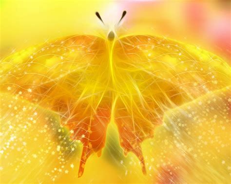 Yellow Butterfly On Orange Flower With Water Droplets