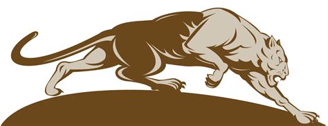 Panther On The Prowl 13761363 Png