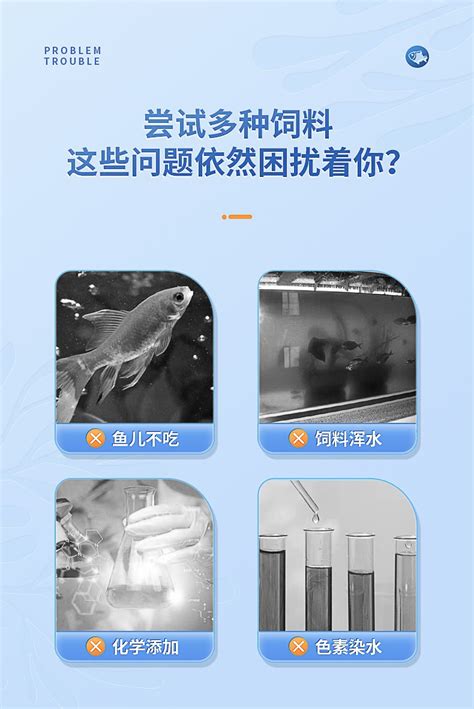 yee小型鱼贴片鱼食孔雀鱼饲料热带鱼金鱼灯鱼饲料通用型小型鱼粮 阿里巴巴