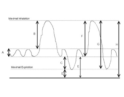Spirogram With Respiratory Volumes And Capacities Quiz