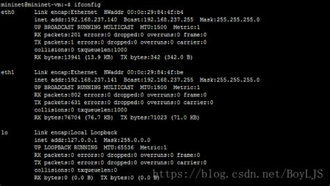 mininet主机与真实网络互通方案实现 mininet hwintf csdn博客