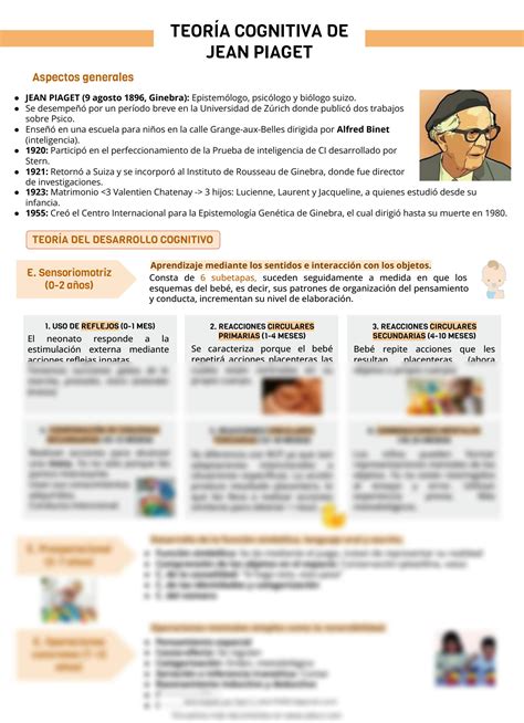 SOLUTION Teoria Cognitiva De Jean Piaget Studypool