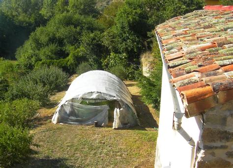 El Huerto En Noviembre Plantas