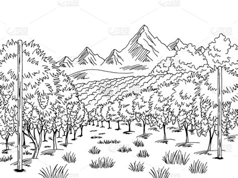 草图 绘画插图 白色 矢量 地形 葡萄园 黑色 插画 农业 华丽的素材 花瓣网