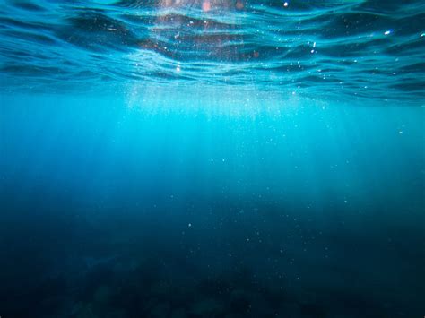 10 Beautiful Underwater Views From Google Street View