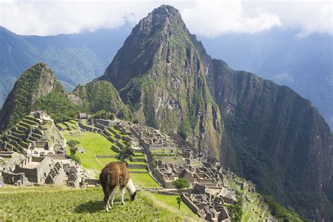 Guide To Machu Picchu Mysterious Beginnings And Modern Day Treasure