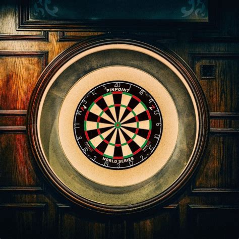 Pinpoint Professional Dartboard Net World Sports
