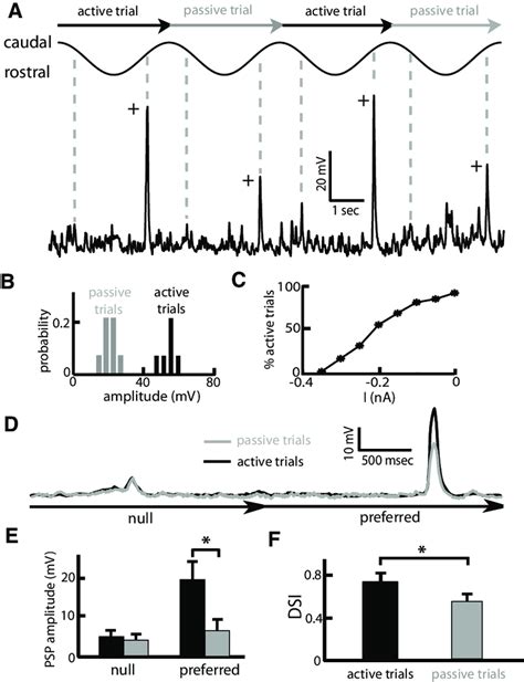 Subthreshold Membrane Conductances Are Preferentially Elicited When The
