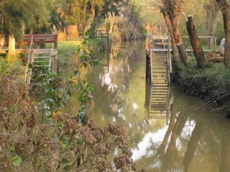 Humedales En Peligro ¿un Nuevo Miami En El Delta Del Paraná Econews