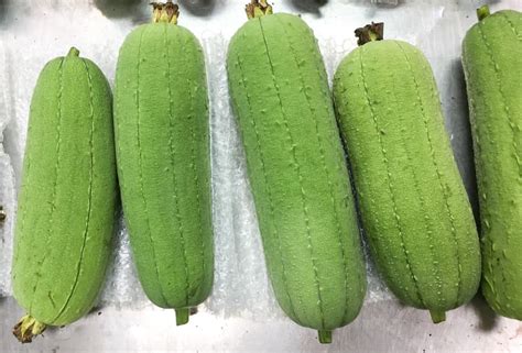 How To Plant Loofahluffa Sponge In Your Garden