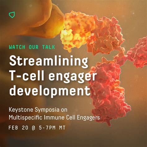 Develop New T Cell Engagers Faster By Combining A Diverse Developable And Validated Panel Of